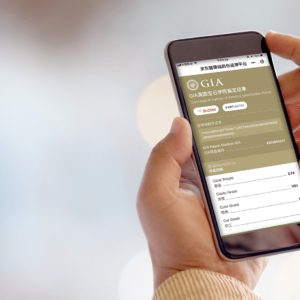 Case Studies - Everledger