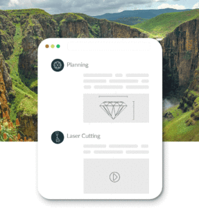 Blockchain Asset Tracking | Everledger