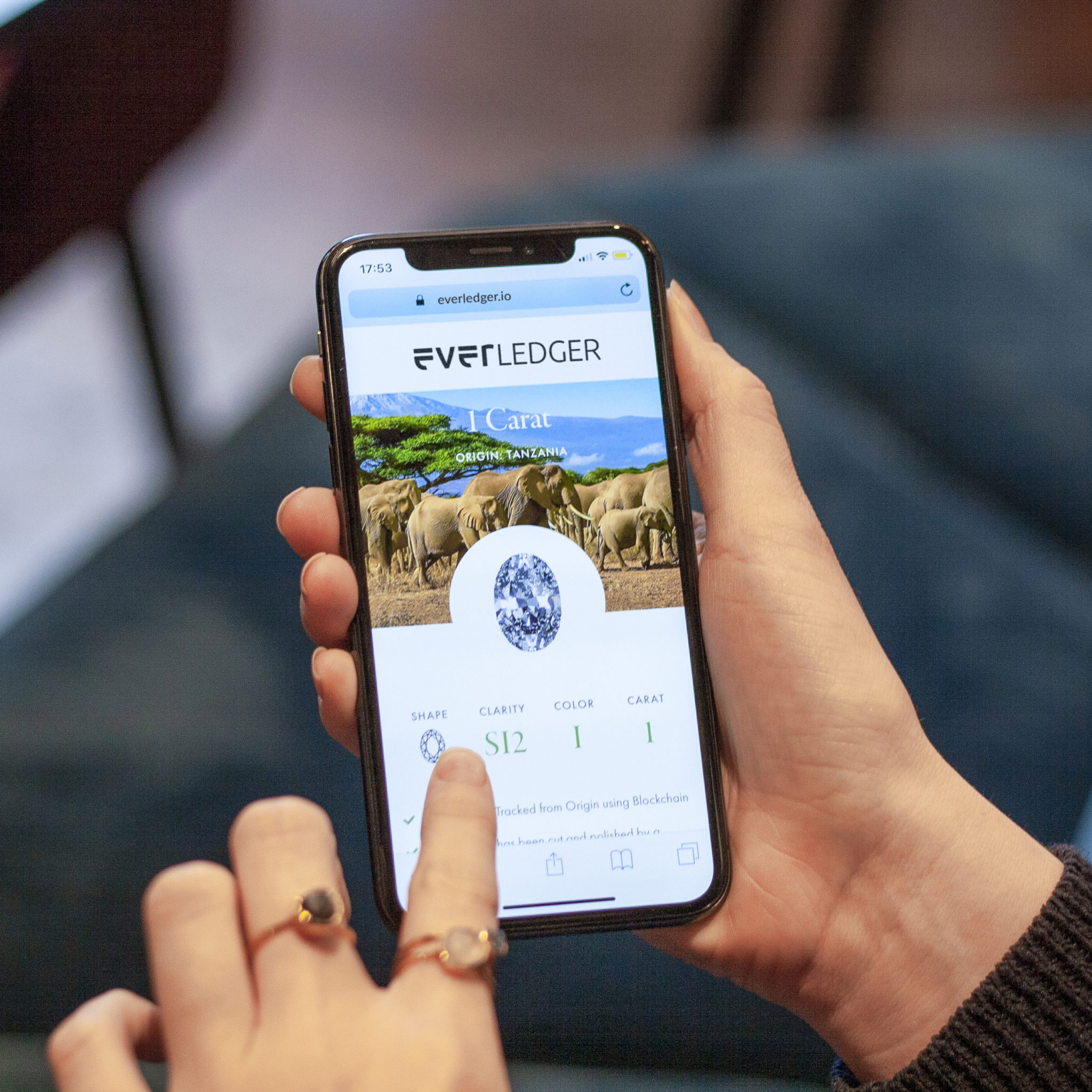 Main Home - Everledger