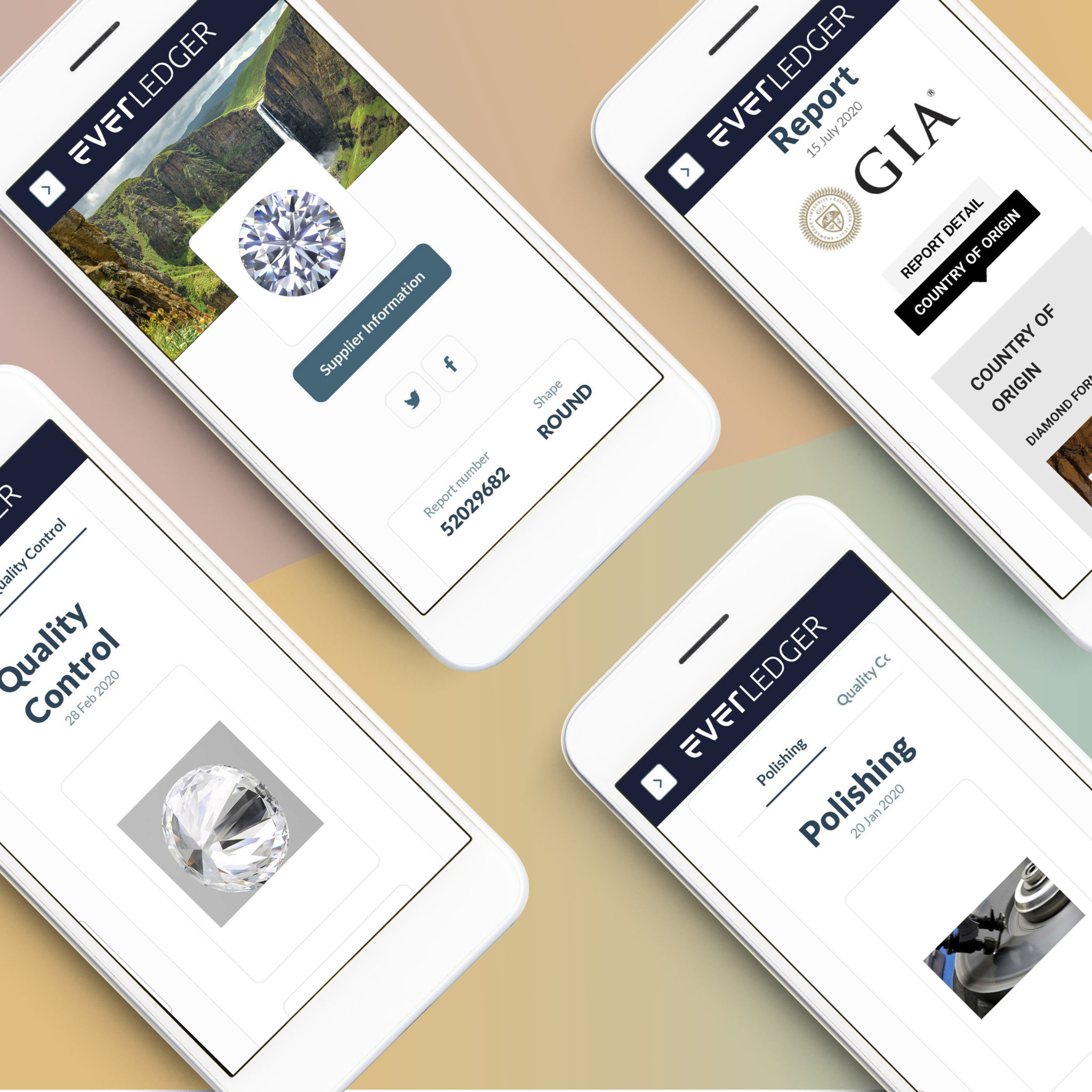 Our Platform - Everledger