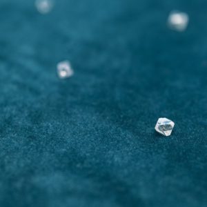 Case Studies - Everledger