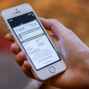 Case Studies - Everledger